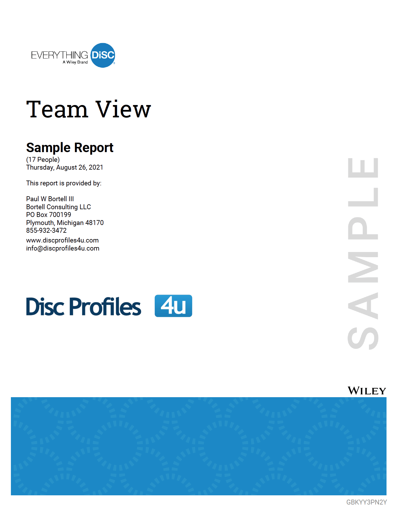 Everything DiSC® Team View | DiSC® Assessments for Teams