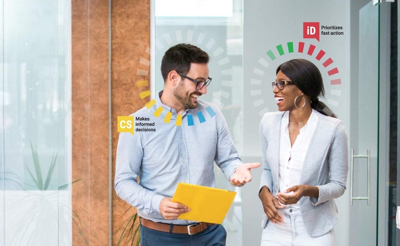 Introduction to Understanding the Everything DiSC iD Style